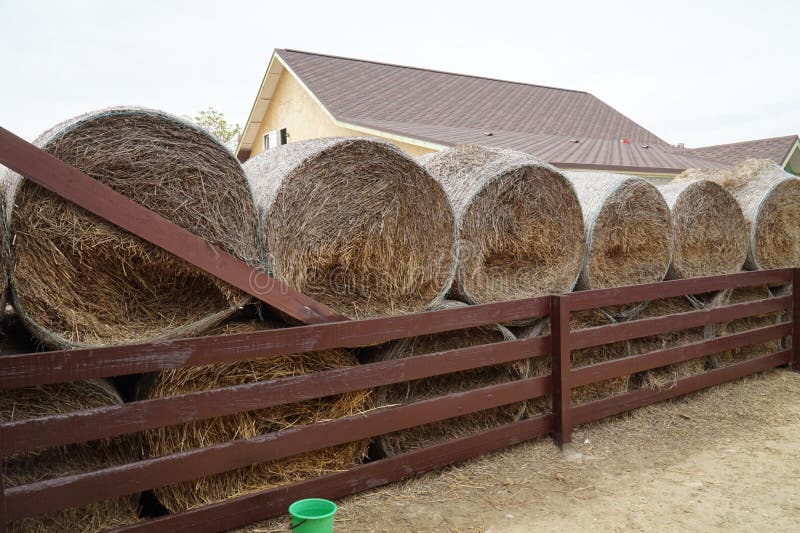 Stacked Haystacks. Animal Food in the Fall. Stock Photo - Image of ...