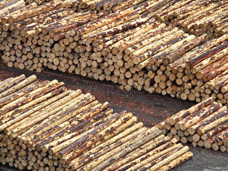 Stacked Logs stock image. Image of logging, pattern, pile - 2292617
