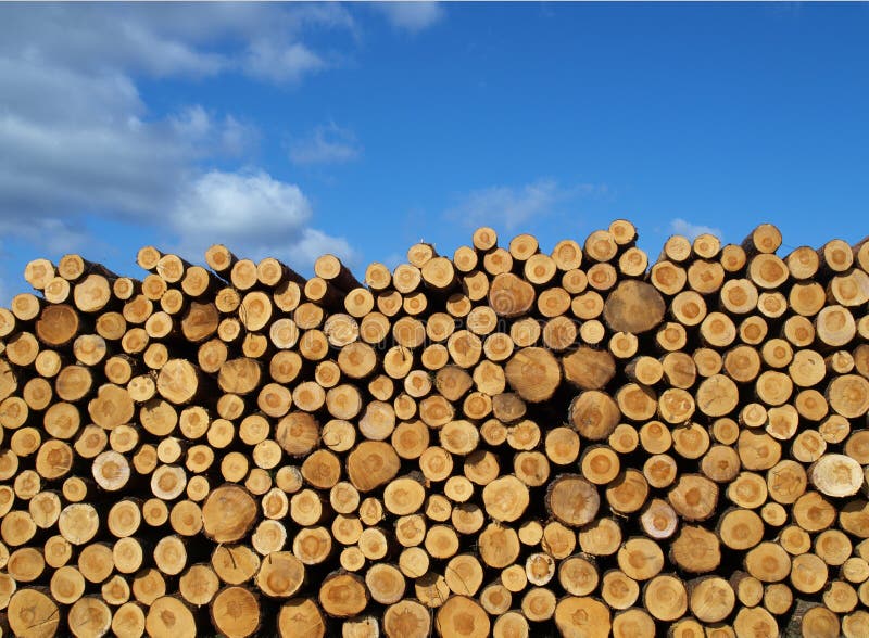 Pile of logs stock photo. Image of blue, wood, grass, trunk - 1140916