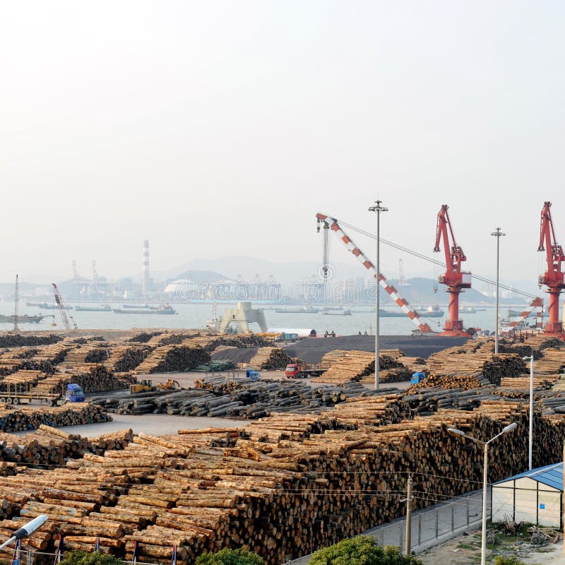 Stacked logs stock photo. Image of heap, forest, europe - 33851276