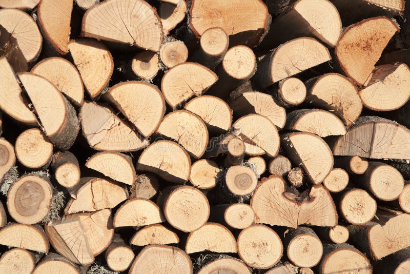 Stacked Logs stock photo. Image of tree, woodpile, stack - 25859346