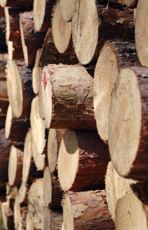 Stacked logs stock image. Image of black, yellow, logs - 2693631