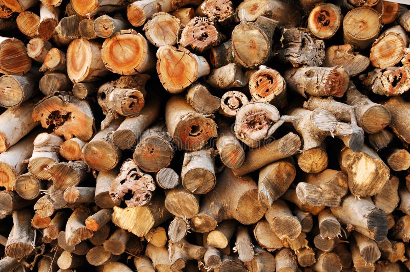 Stacked Logs Picture. Image: 4126246