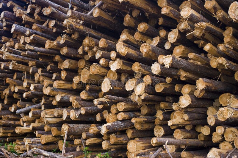 Stacked logs stock image. Image of construction, lots - 5984281