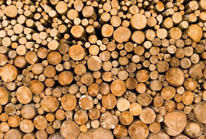 Stacked logs stock photo. Image of timber, industry, cutting - 6599056