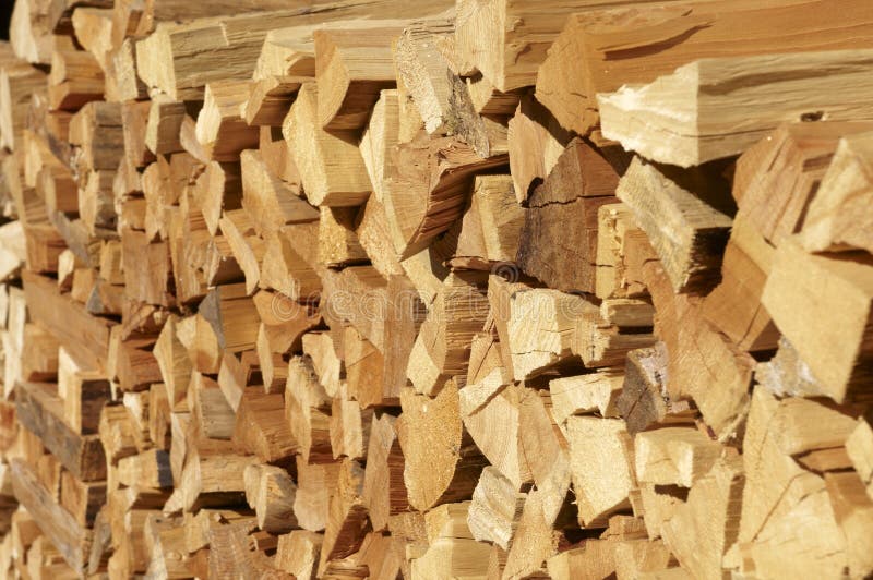 Stacked logs stock image. Image of color, short, brown - 9092379