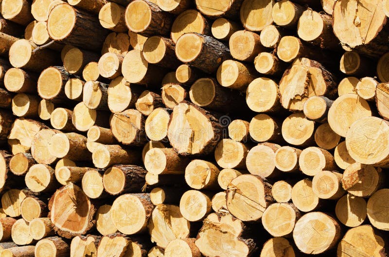 Stacked Logs stock photo. Image of closeup, rural, industry - 31079664
