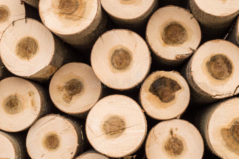 Stacked Logs background stock image. Image of lumber - 47483195