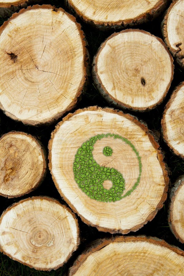 Stacked Logs Background stock image. Image of backgrounds - 20957267