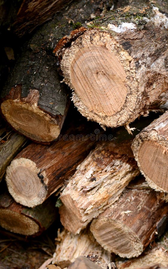 Stacked logs close-up stock image. Image of vertical - 95551279