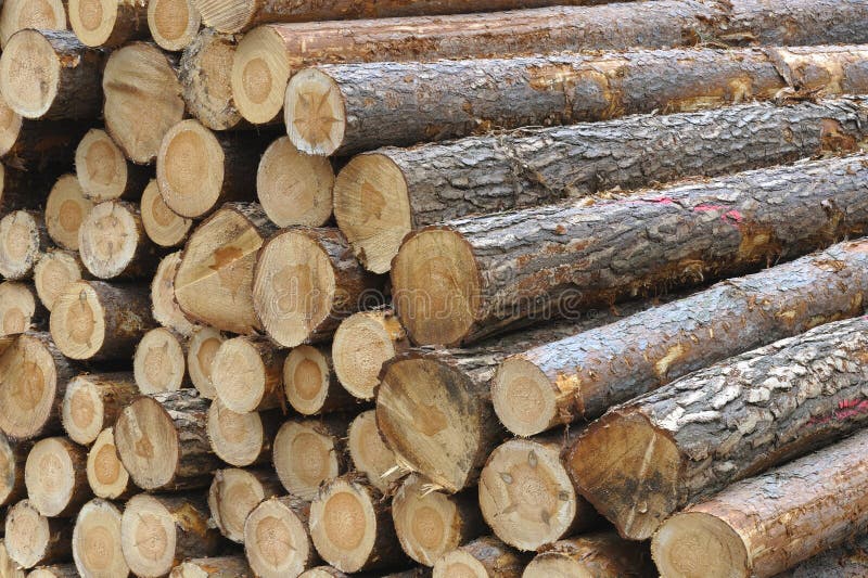 Stacked Logs stock image. Image of natural, logs, full - 37261027