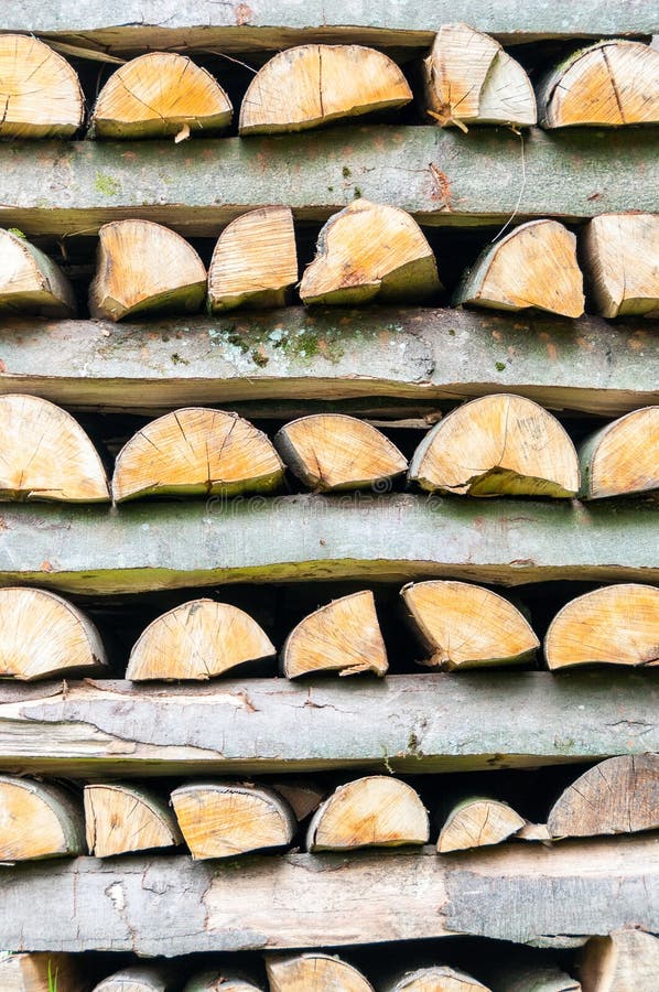 Stacked logs stock photo. Image of forest, woodshed, pine - 47506898