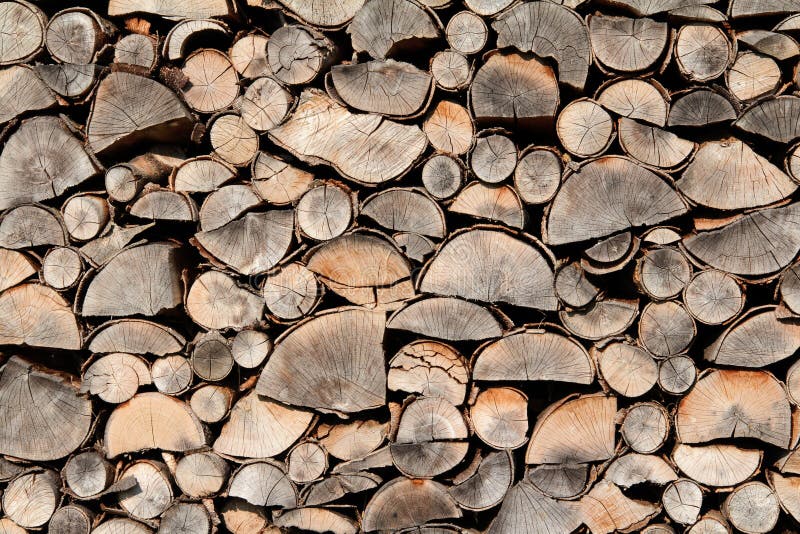 Stacked logs detail stock photo. Image of stack, pile - 34642052