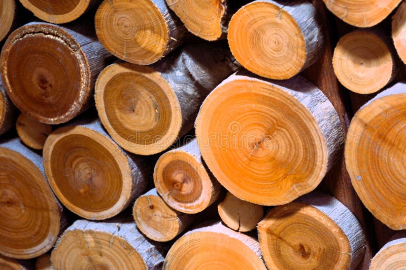 Stacked Logs of Fire Wood Texture Background . High Quality Photo Stock ...