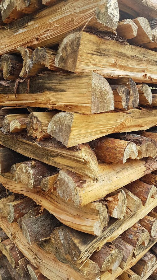 Stacked logs stock image. Image of forest, warming, logs - 69634401
