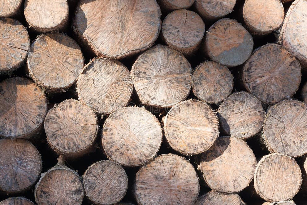 Stacked logs of round wood stock photo. Image of brown - 19330344