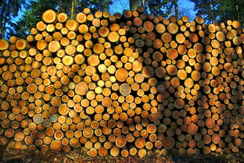 Stacked Logs Background stock image. Image of backgrounds - 20957267