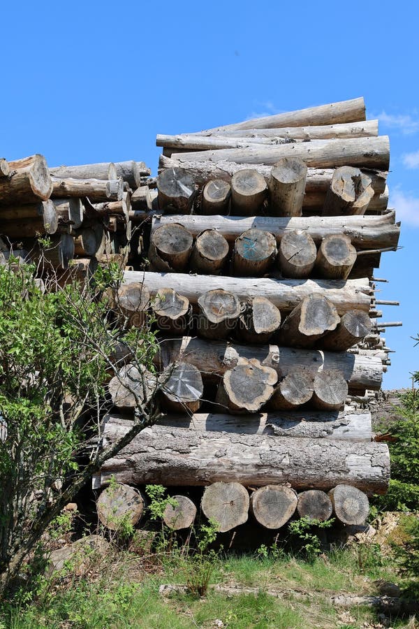 Stacked Logs Under a Clear Blue Sky. Stock Image - Image of environment ...