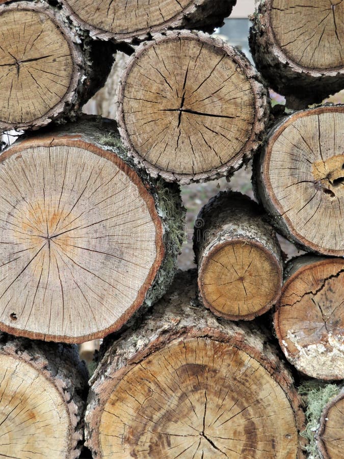 Stacked Logs, Vertical Orientation Stock Photo - Image of split, wood ...