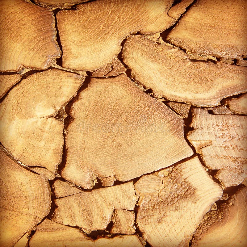 Stacked Logs Wood Background or Texture. Stock Image - Image of circle ...