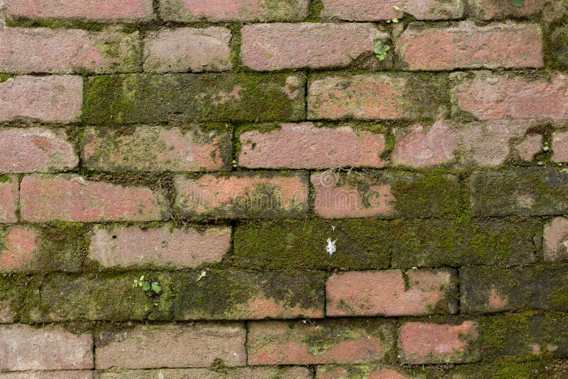 Stacked Mossy Brick stock image. Image of outdoor, stacked - 91037885