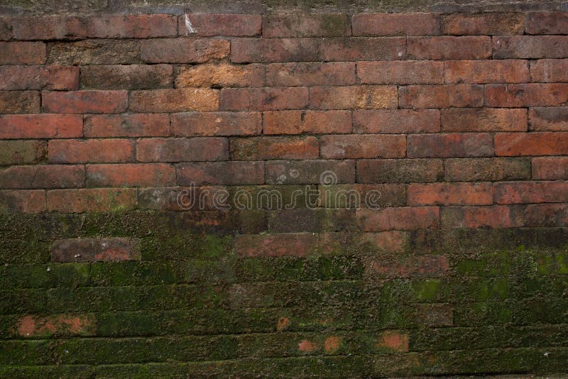 Stacked Mossy Brick Texture Stock Photo - Image of outdoor, moss: 89790020
