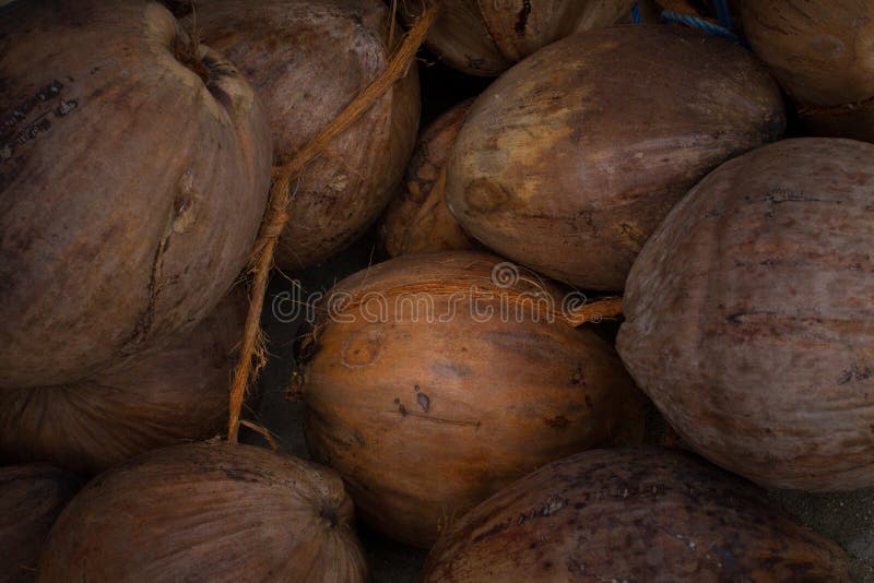 Stacked of old coconuts stock photo. Image of close - 120477412