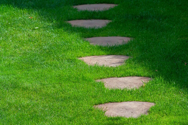 Stacked Path from Wooden Cut Circles on Grass Stock Photo - Image of ...