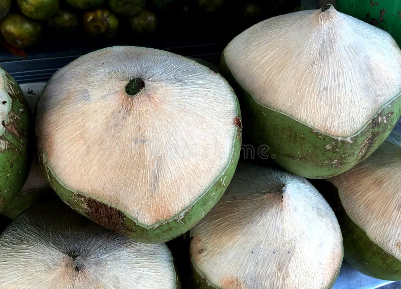 Stacked Peeled Coconuts stock photo. Image of thailand - 101073514