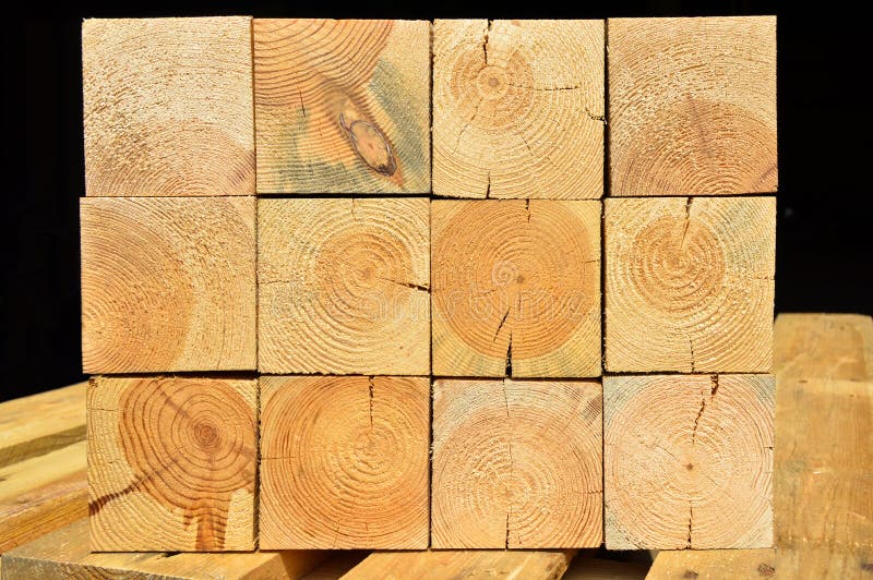 Stacked pine tree lumber stock image. Image of pallet - 101587193