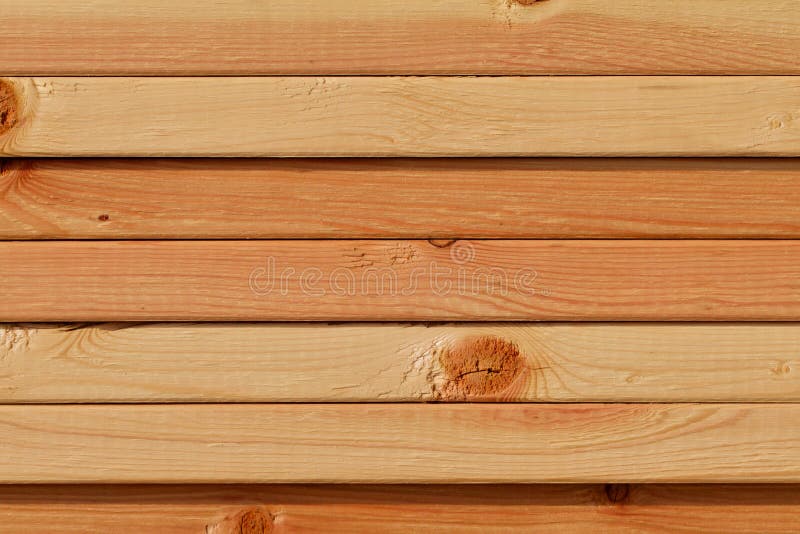 Side View of Vertical Stalks of Corn Stock Image - Image of closeup ...