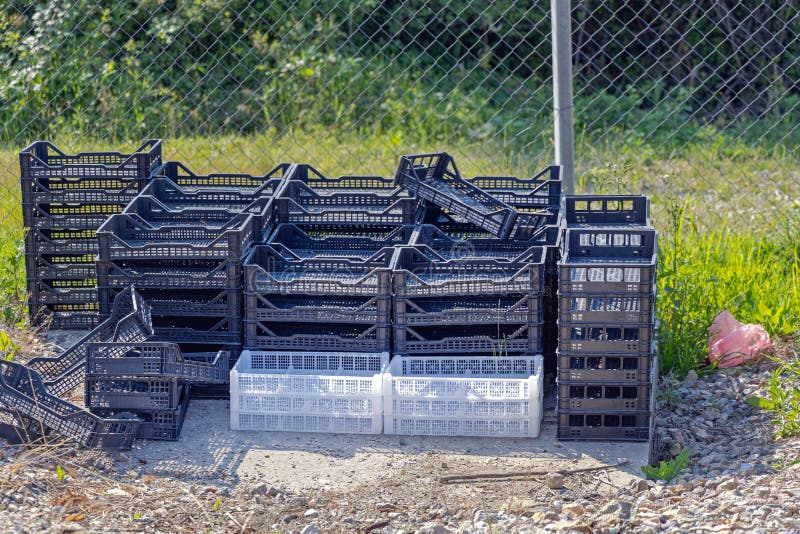 Stacked Plastic Crates Farm Stock Photo - Image of market, vegetables ...