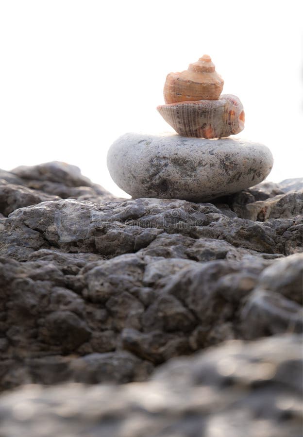 Shell and Stones on the Beach Stock Photo - Image of maldives, beach ...