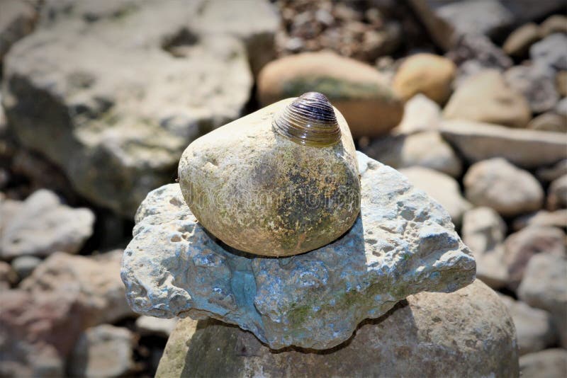 Stacked Rocks and Shell stock photo. Image of ocean - 128066818