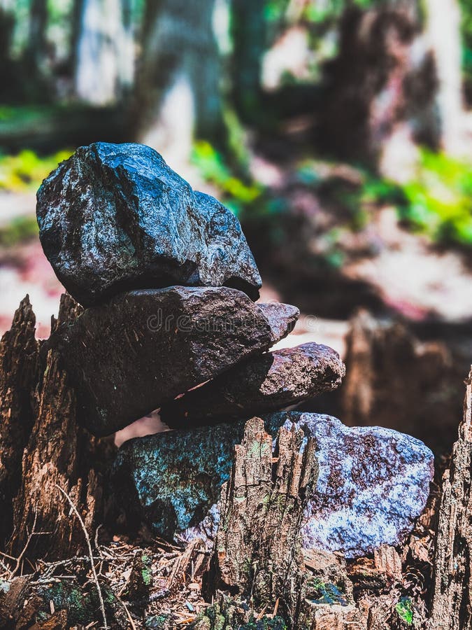 Stacked Rocks in a Tree Trunk with a Blurred Background Stock Photo ...
