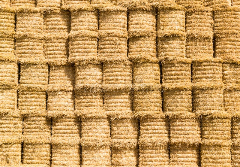 Stacked Round Strawbales stock photo. Image of farming - 61158606
