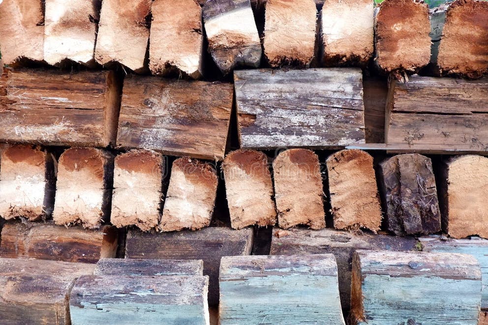 Stacked rows of firewood stock photo. Image of small - 237277124