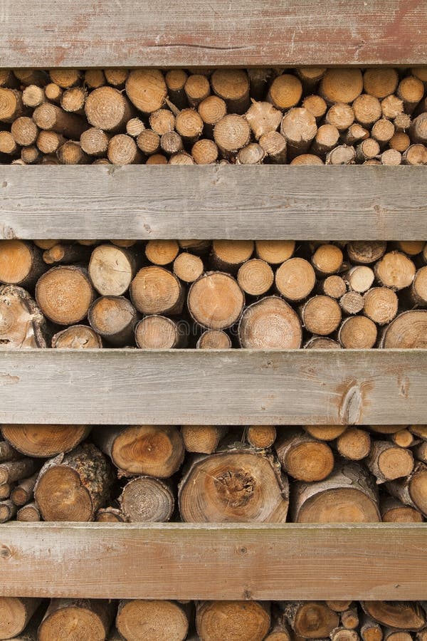 Stacked Sewed Tree Branches Stock Photo - Image of twigs, clearing ...