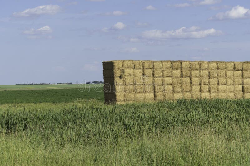 Pile of square hay bales stock image. Image of crop - 179226257