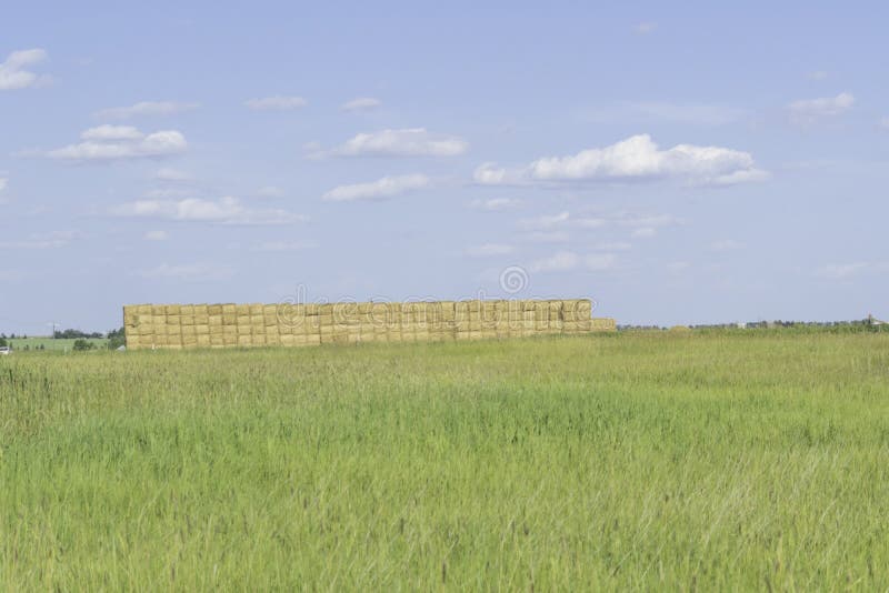 Stacked Square Bales of Hay in a Farm Field Stock Photo - Image of ...