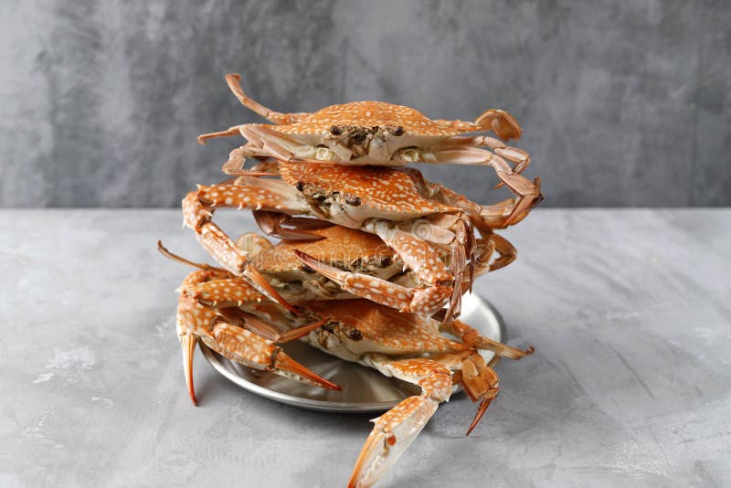 Stacked Steamed Flower Blue Crab Stock Photo - Image of kitchen, claw ...