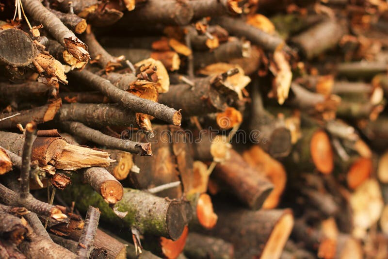 Stacked sticks. Tree stock image. Image of bark, dark - 149807673