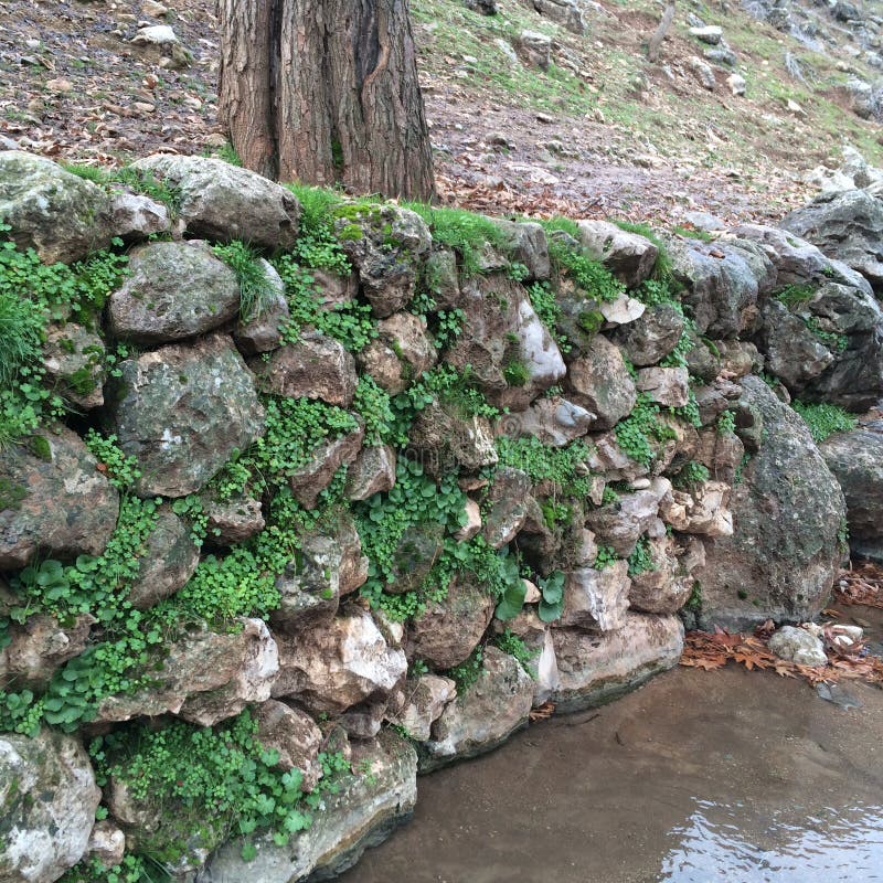 Stacked Stone with Grass Texture Stock Image - Image of covered, stone ...