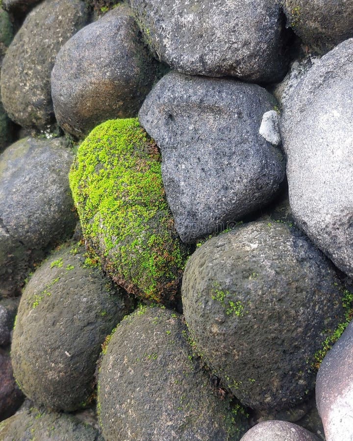 Stones covered with moss stock photo. Image of grungy - 80695146