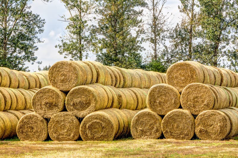Stacked straw bales stock image. Image of nature, golden - 85113541
