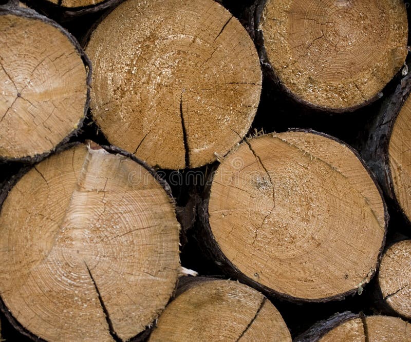 Stacked logs stock photo. Image of industrial, countryside - 2965530