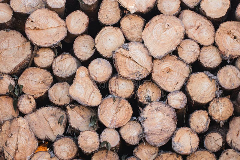 Stacked Timber Logs As Background Stock Image - Image of industry, logs ...