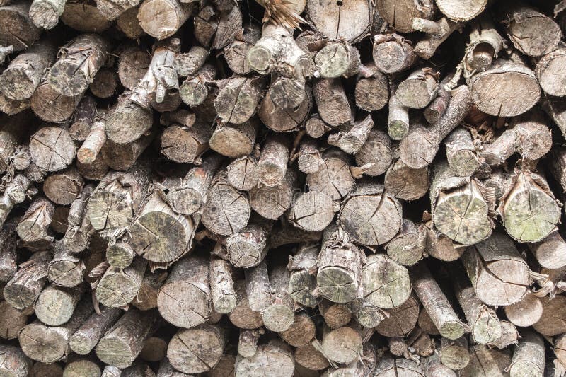 Stacked timber logs stock image. Image of based, cross - 56632513