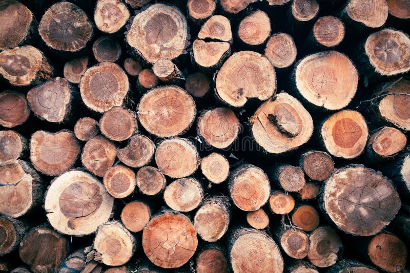 Stacked Timber Logs - Natural Wood Texture Background Stock Photo ...