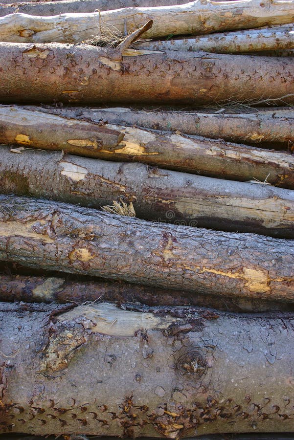 Stacked Tree Trunks, Bark Texture Stock Image - Image of auvergne ...